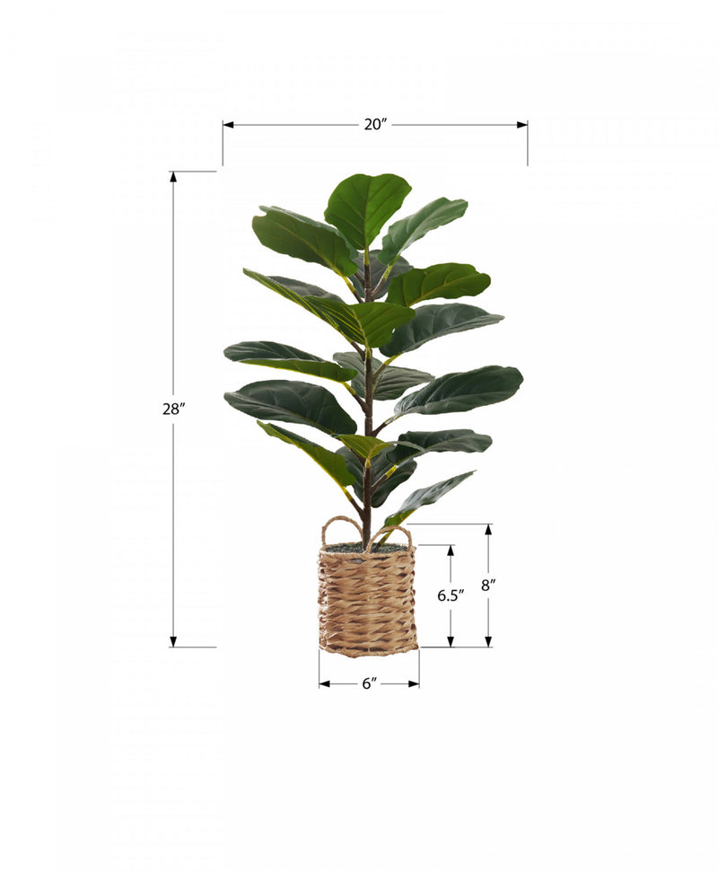 28" Fiddle Tree With 8" Woven Basket Pot - Green | Leon's
