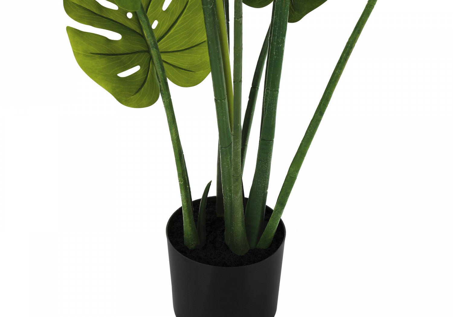 45" Monstera Plant With 6" Black Pot - Green | Leon's