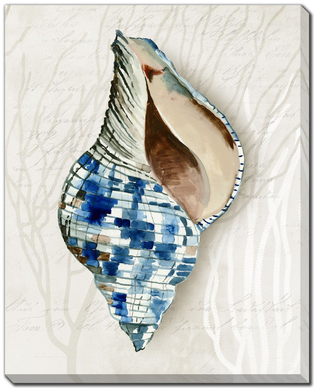 Glass Shell I Wall Art - Blue - 16 X 20 | Leon's.ca
