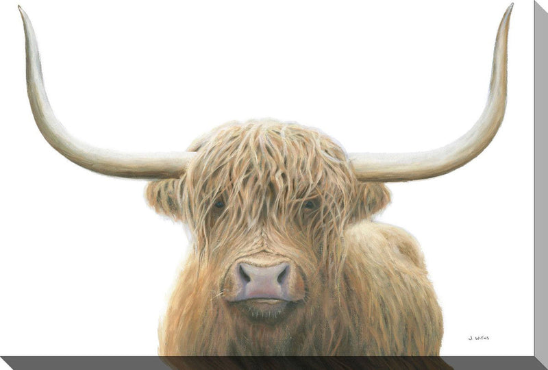 Perfect Highland Head Shot I Canvas Wall Art - 30 X 45 | Leon's