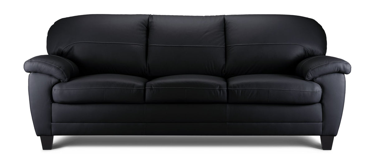 Raphael Leather Sofa - Raven | Leon's