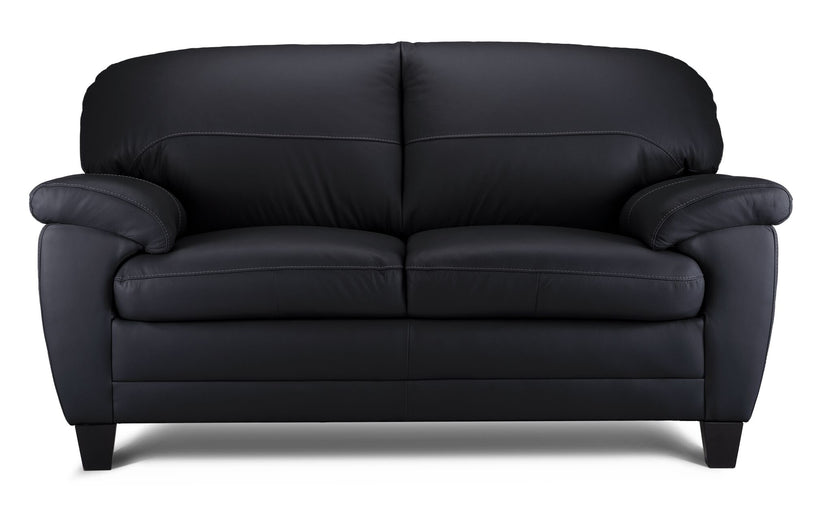 Raphael Leather Loveseat- Raven | Leon's
